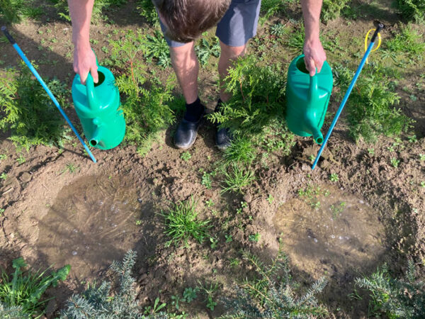 Verdichteten Boden lockern und durchlässig machen - Heckenkraft