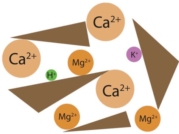 Verdichteten Boden lockern und durchlässig machen - Heckenkraft